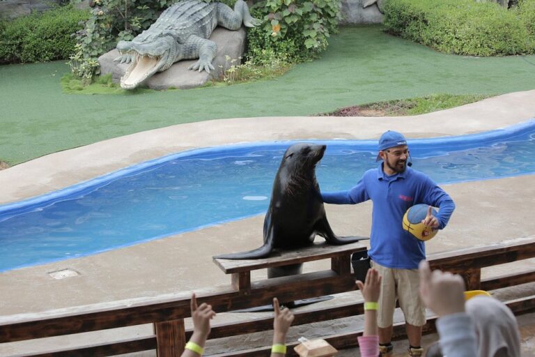 Emirates Park Zoo & Resort Abu Dhabi - Flyout Tours